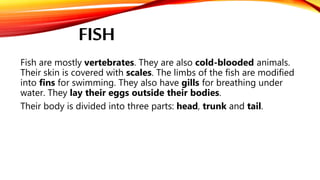 Vertebrates | PPTX