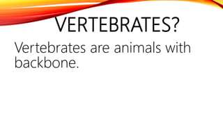 Vertebrates | PPT
