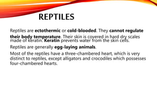 Vertebrates | PPTX
