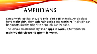 Vertebrates | PPTX