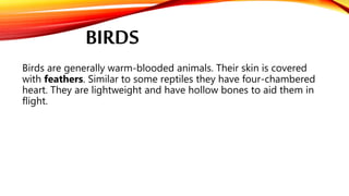 Vertebrates | PPTX