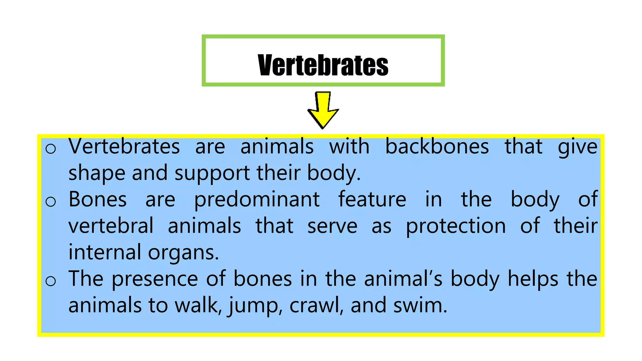 Vertebrates | PPTX