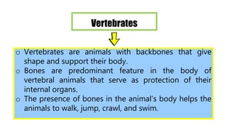 Vertebrates | PPTX