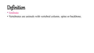 VERTEBRATES.pptx by Sarah Ashfaq botanist and mycologist | PPT