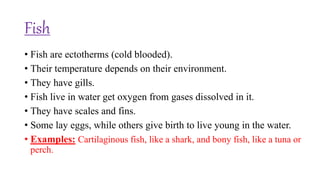 VERTEBRATES.pptx by Sarah Ashfaq botanist and mycologist | PPT