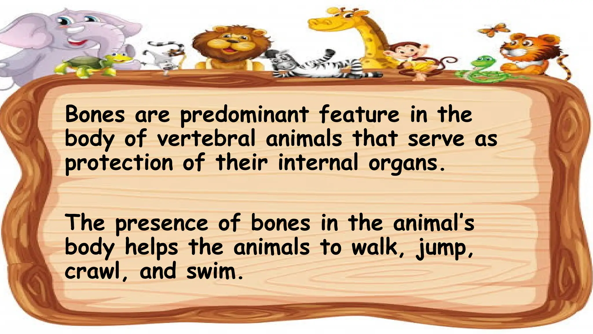 GRADE SIX - CHARACTERISTICS OF VERTEBRATES.pptx