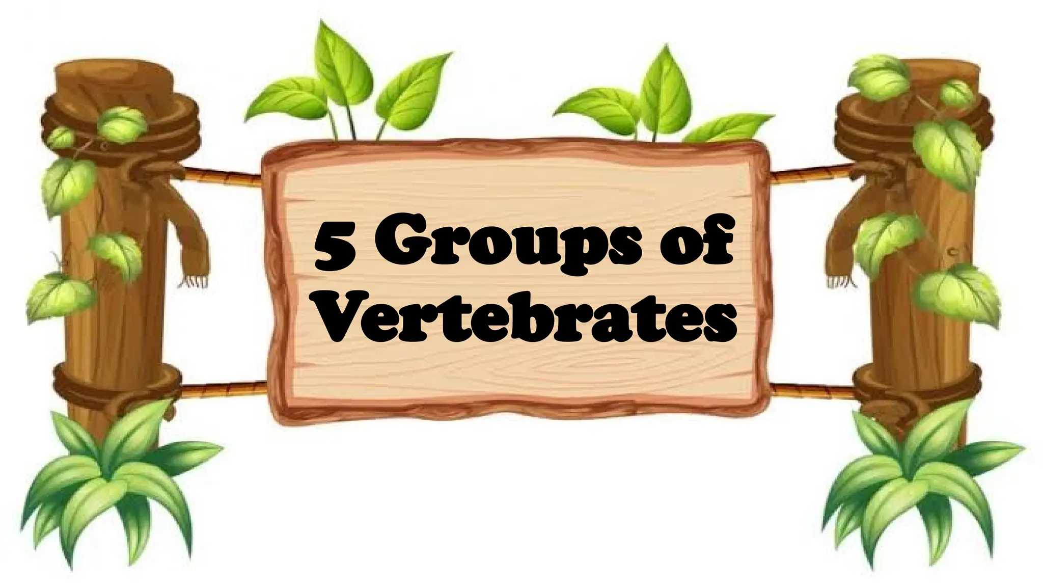 GRADE SIX - CHARACTERISTICS OF VERTEBRATES.pptx