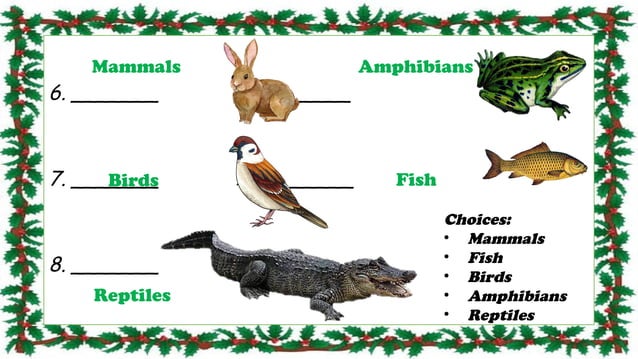 GRADE SIX - CHARACTERISTICS OF VERTEBRATES.pptx
