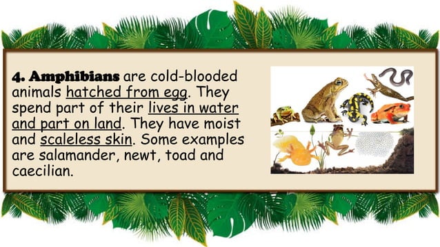 GRADE SIX - CHARACTERISTICS OF VERTEBRATES.pptx