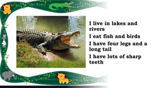 GRADE SIX - CHARACTERISTICS OF VERTEBRATES.pptx