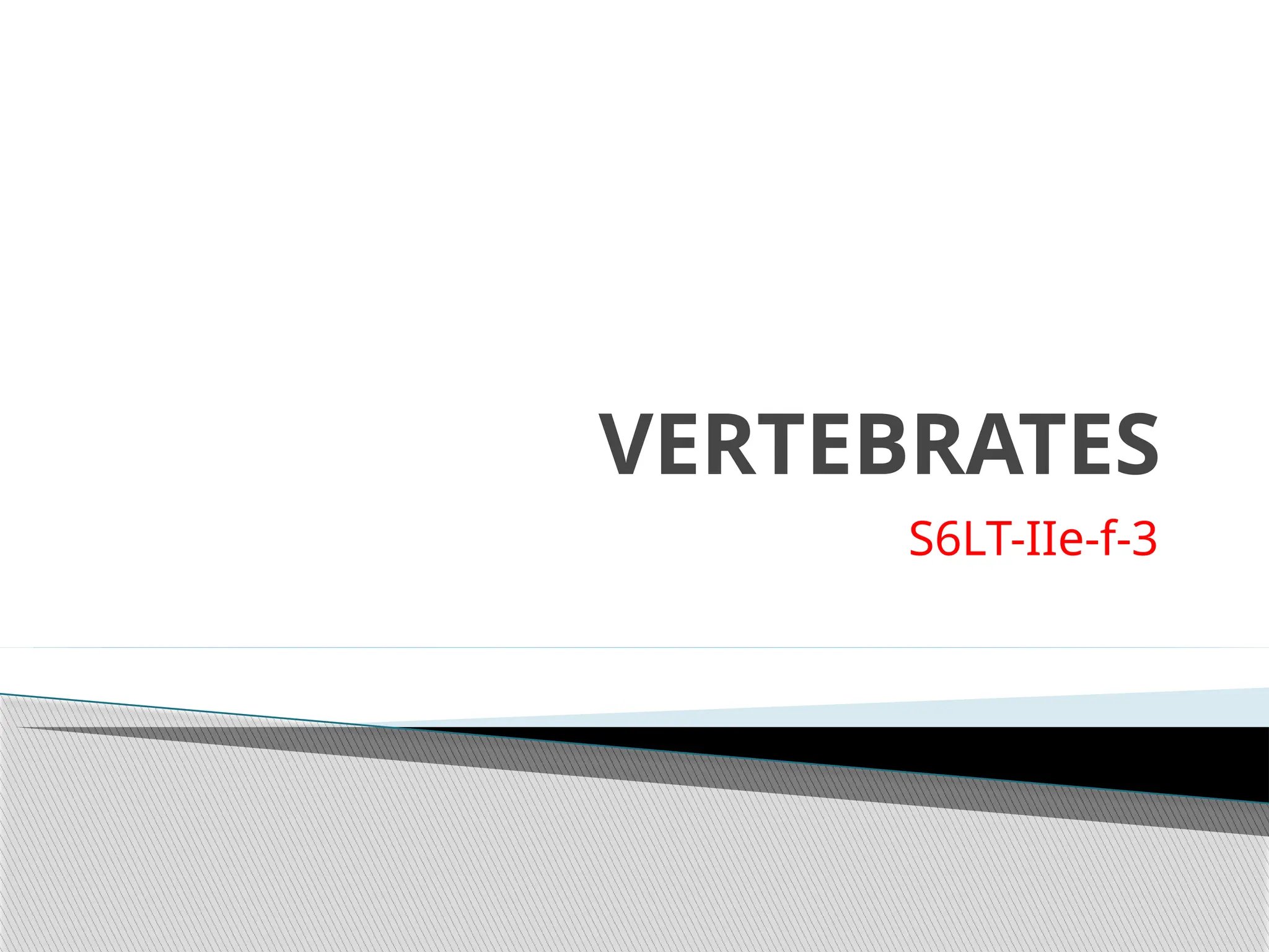 Powerpoint VertebratesFocused lesson..pptx