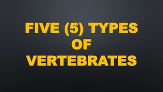 Vertebrates-and-invertebrates.pptx