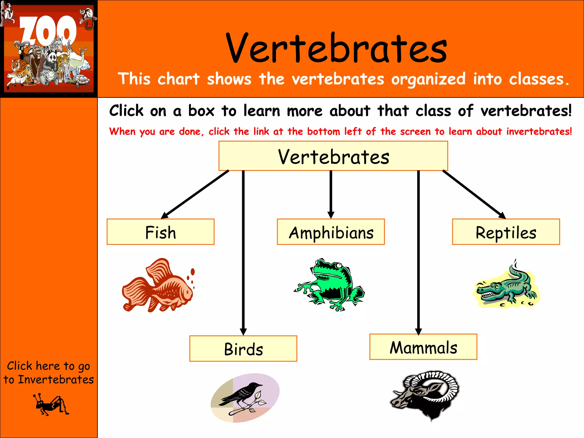 Vertebrates and Invertebrates | PPT