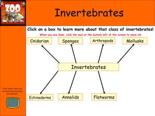 Vertebrates and Invertebrates | PPT