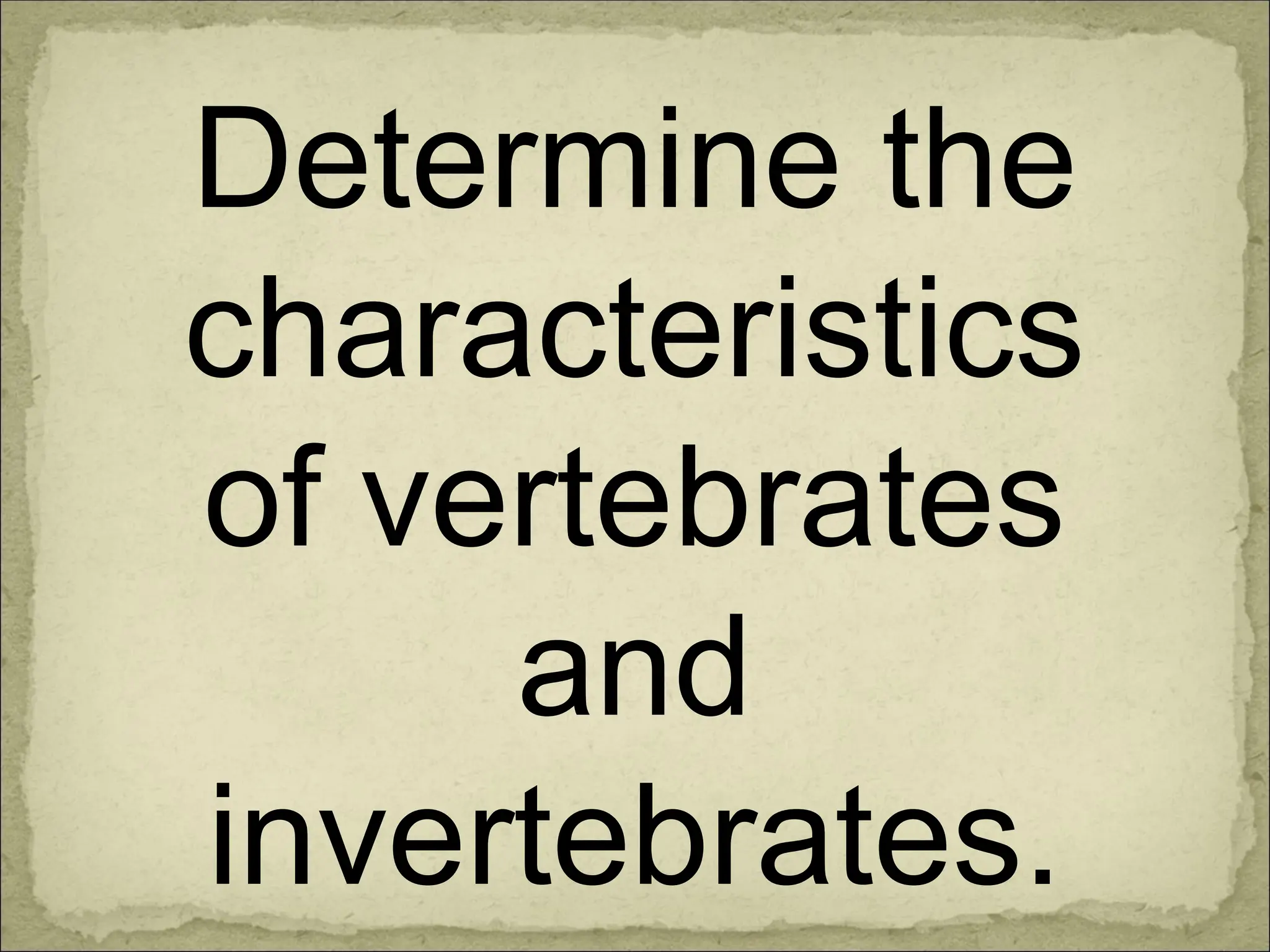 Grade 6 - Vertebrates and Invertebrates | PPT