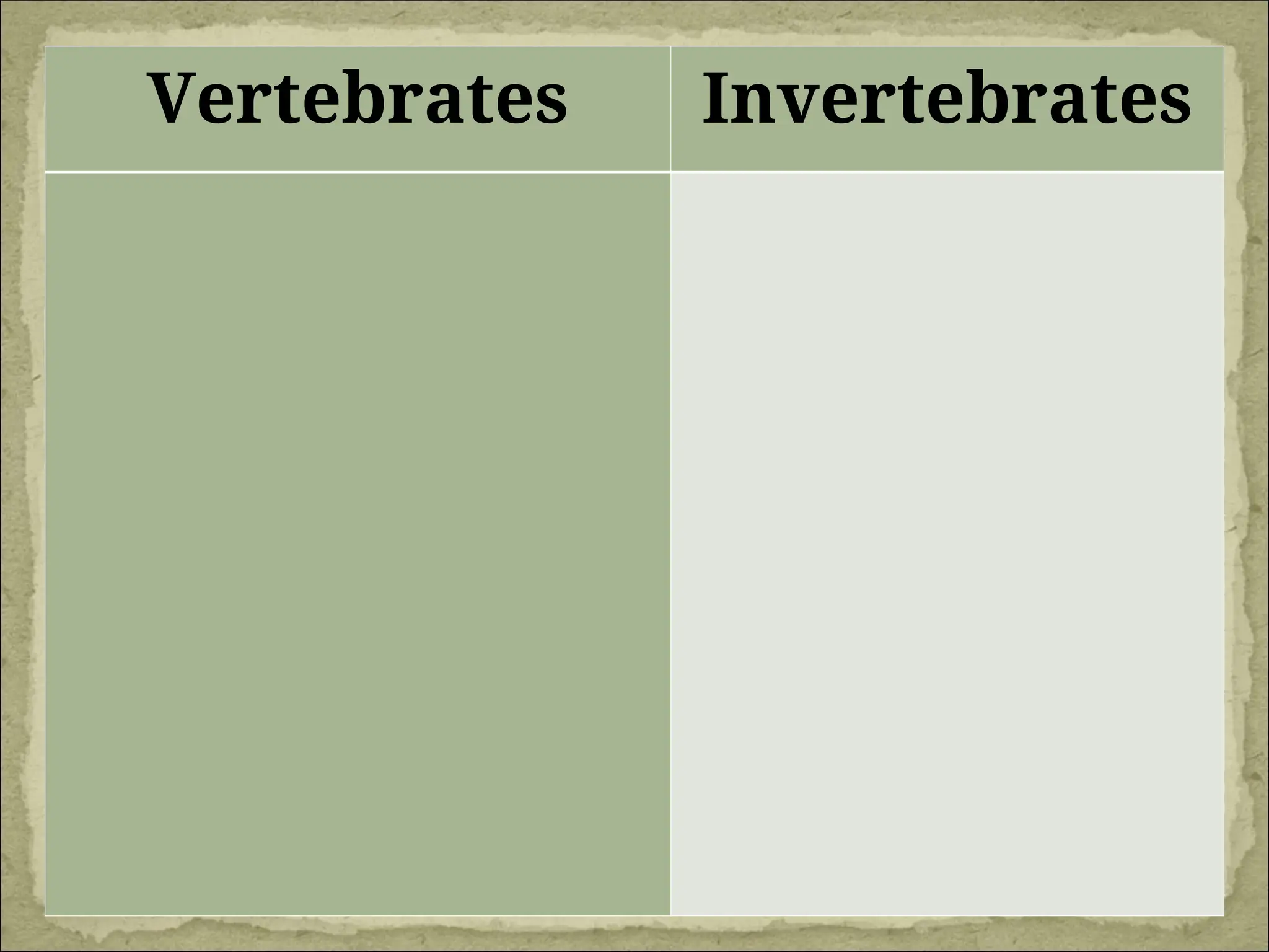 Grade 6 - Vertebrates and Invertebrates | PPT