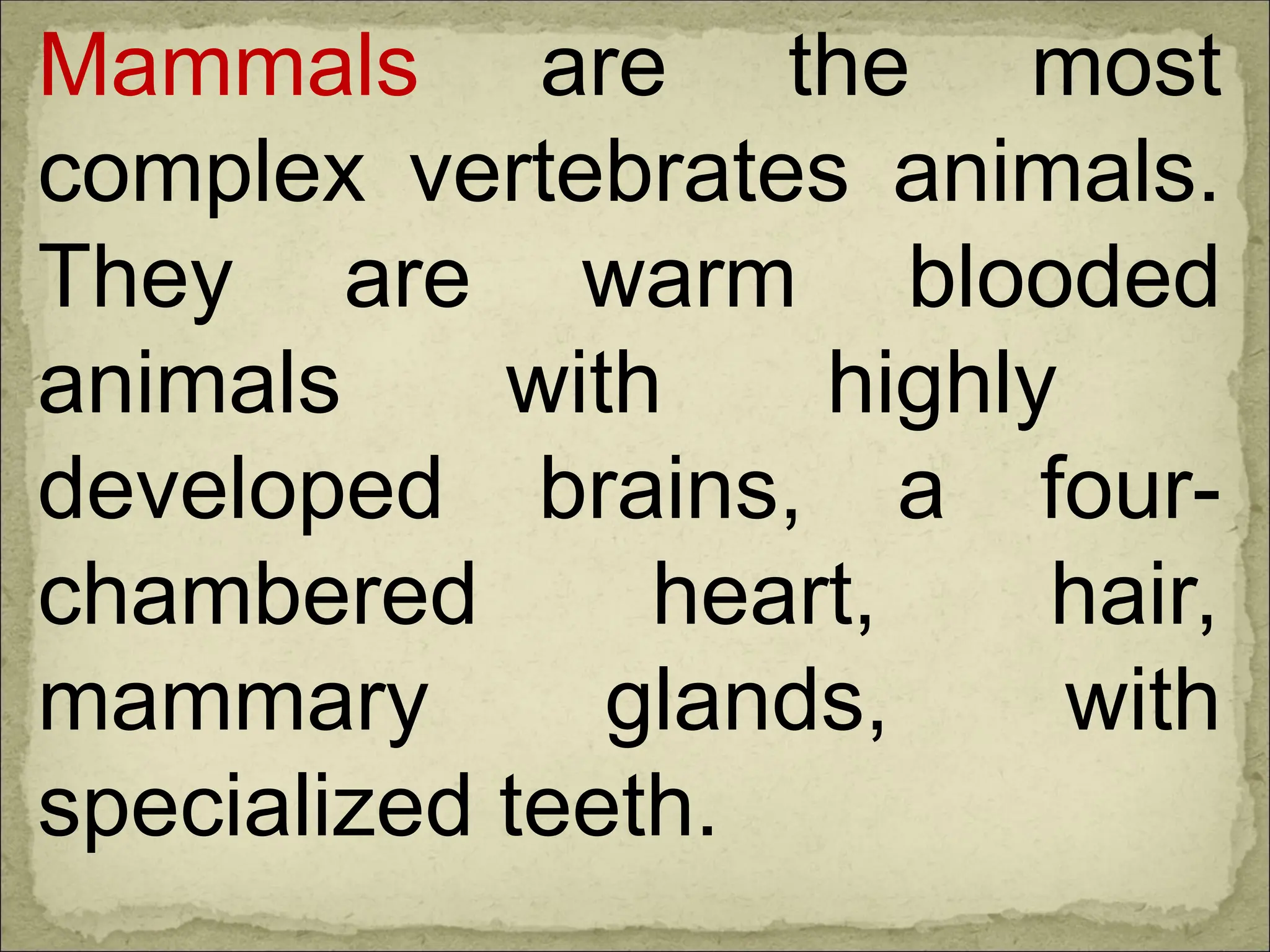 Grade 6 - Vertebrates and Invertebrates | PPT