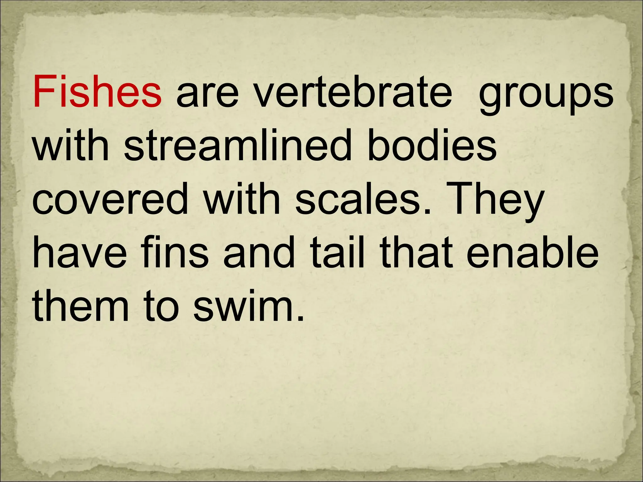 Grade 6 - Vertebrates and Invertebrates | PPT