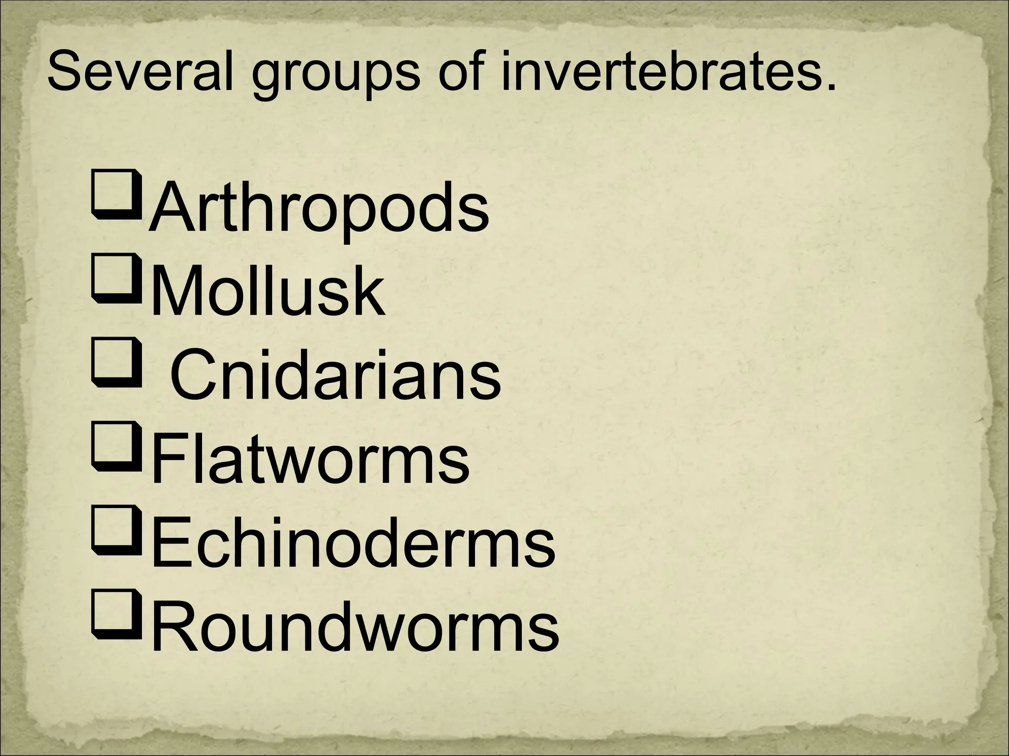 Grade 6 - Vertebrates and Invertebrates | PPT