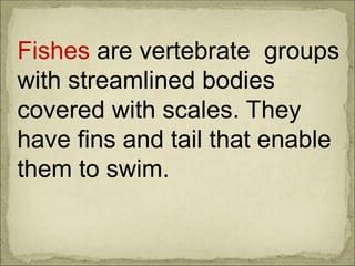 Grade 6 - Vertebrates and Invertebrates | PPT