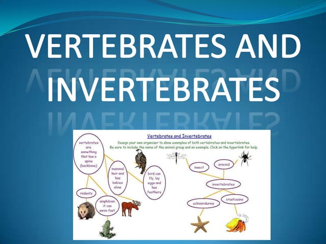 Vertebrates and invertebrates | PPTX
