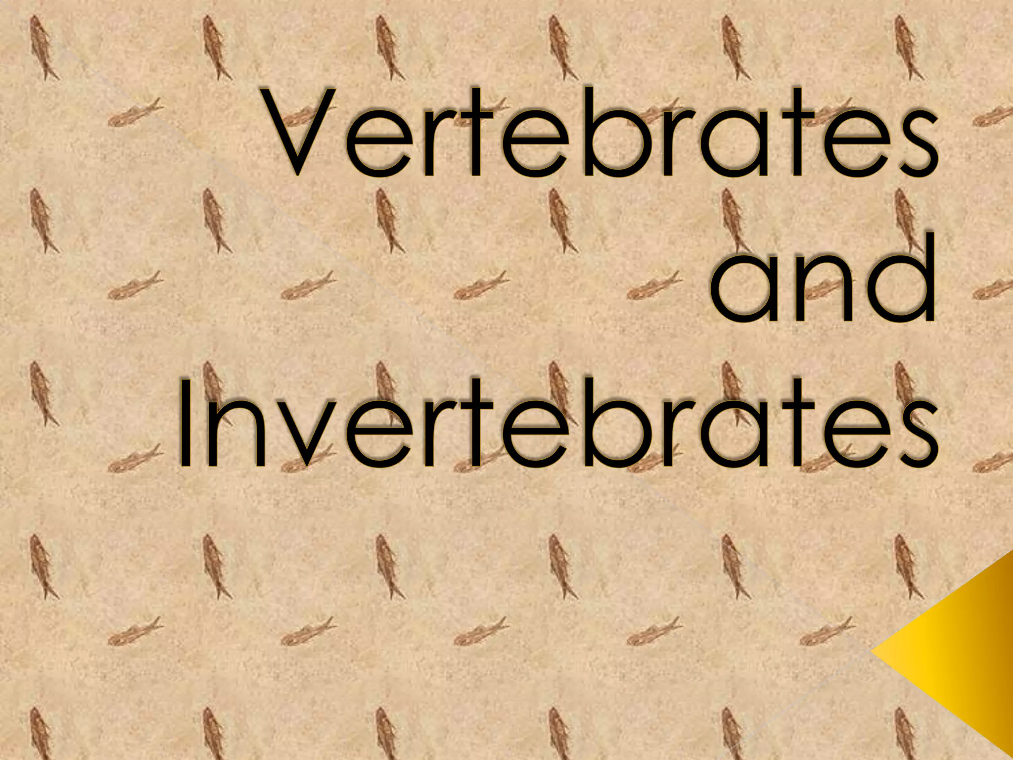 Vertebrates and invertebrates | PPTX