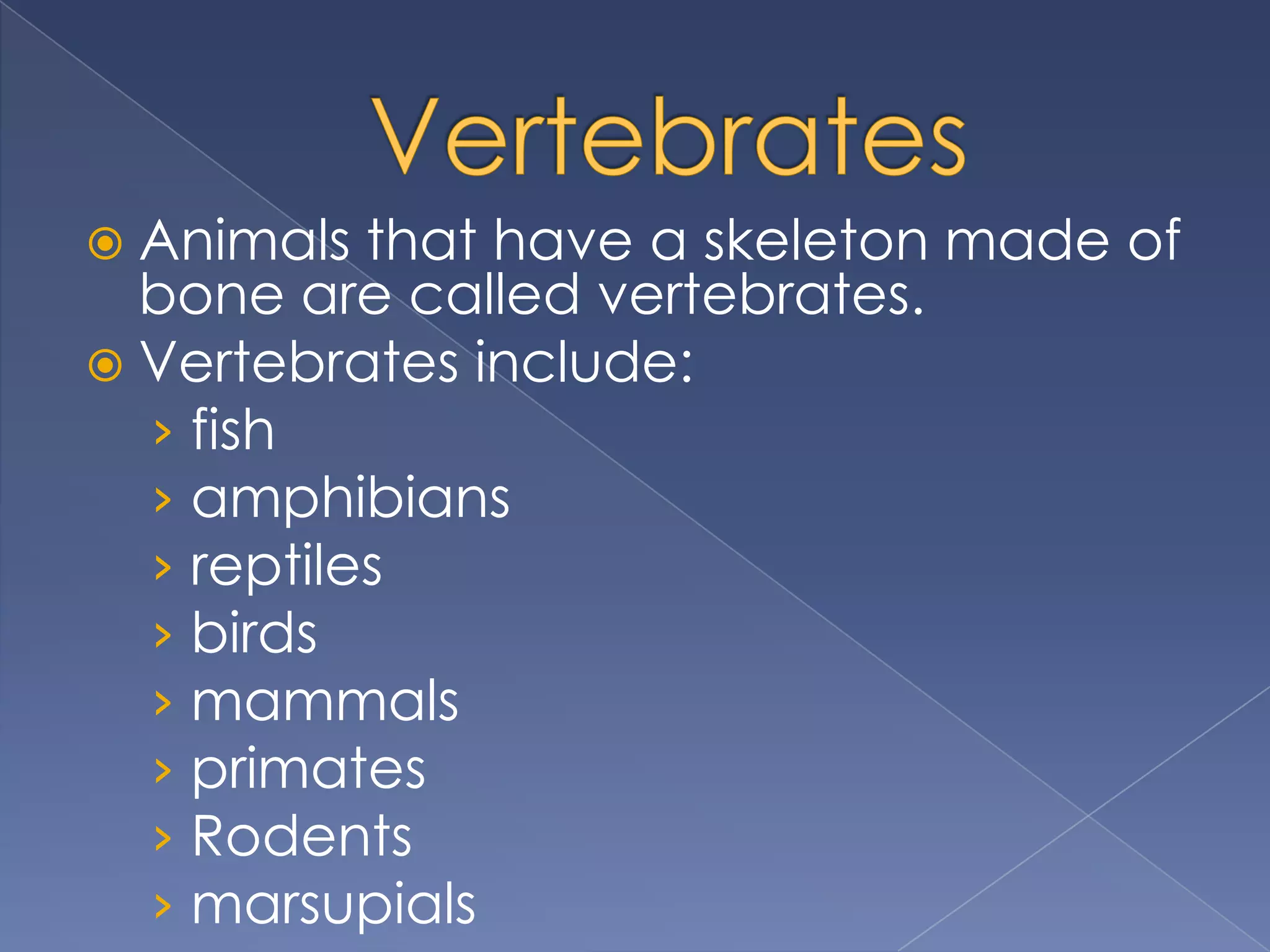 Vertebrates and invertebrates | PPT