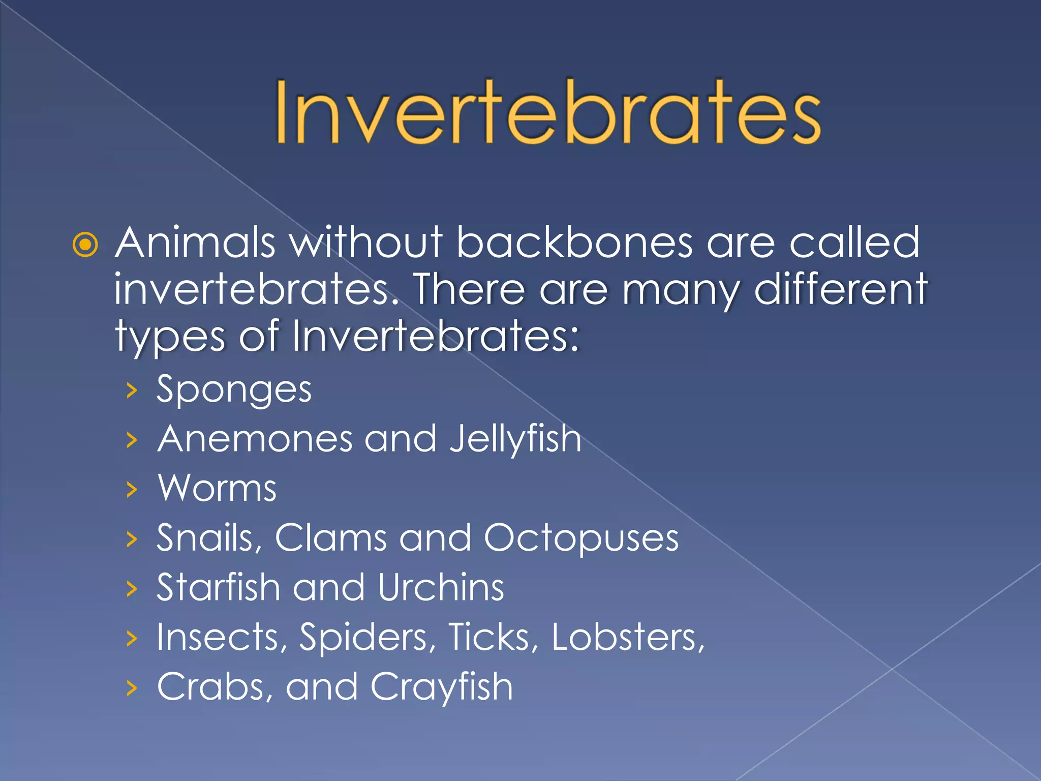 Vertebrates and invertebrates | PPTX