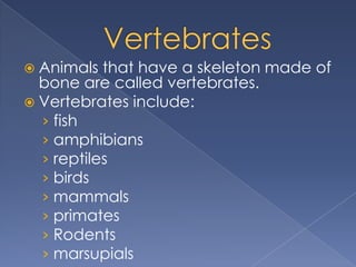 Vertebrates and invertebrates | PPTX