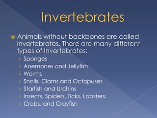 Vertebrates and invertebrates | PPTX