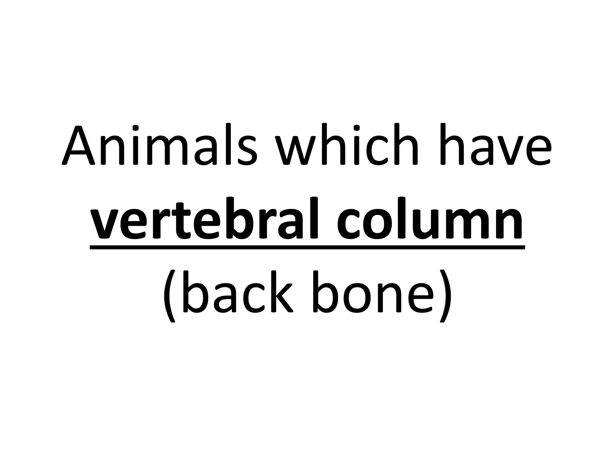 Vertebrates and invertebrates | PPTX