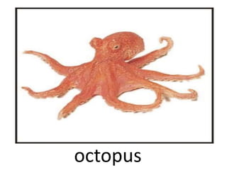Vertebrates and invertebrates | PPTX