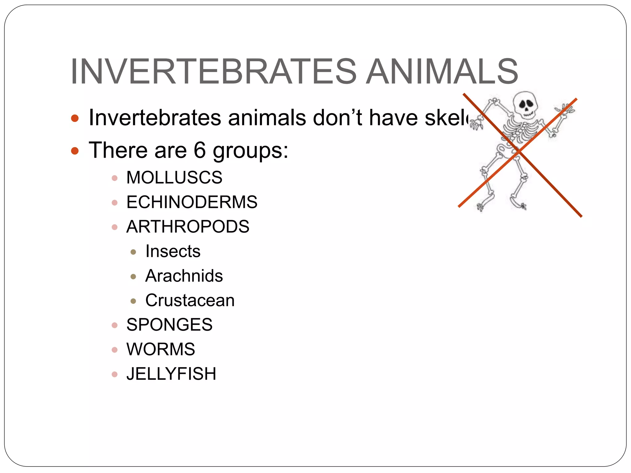 Vertebrates and invertebrates animals | PPTX