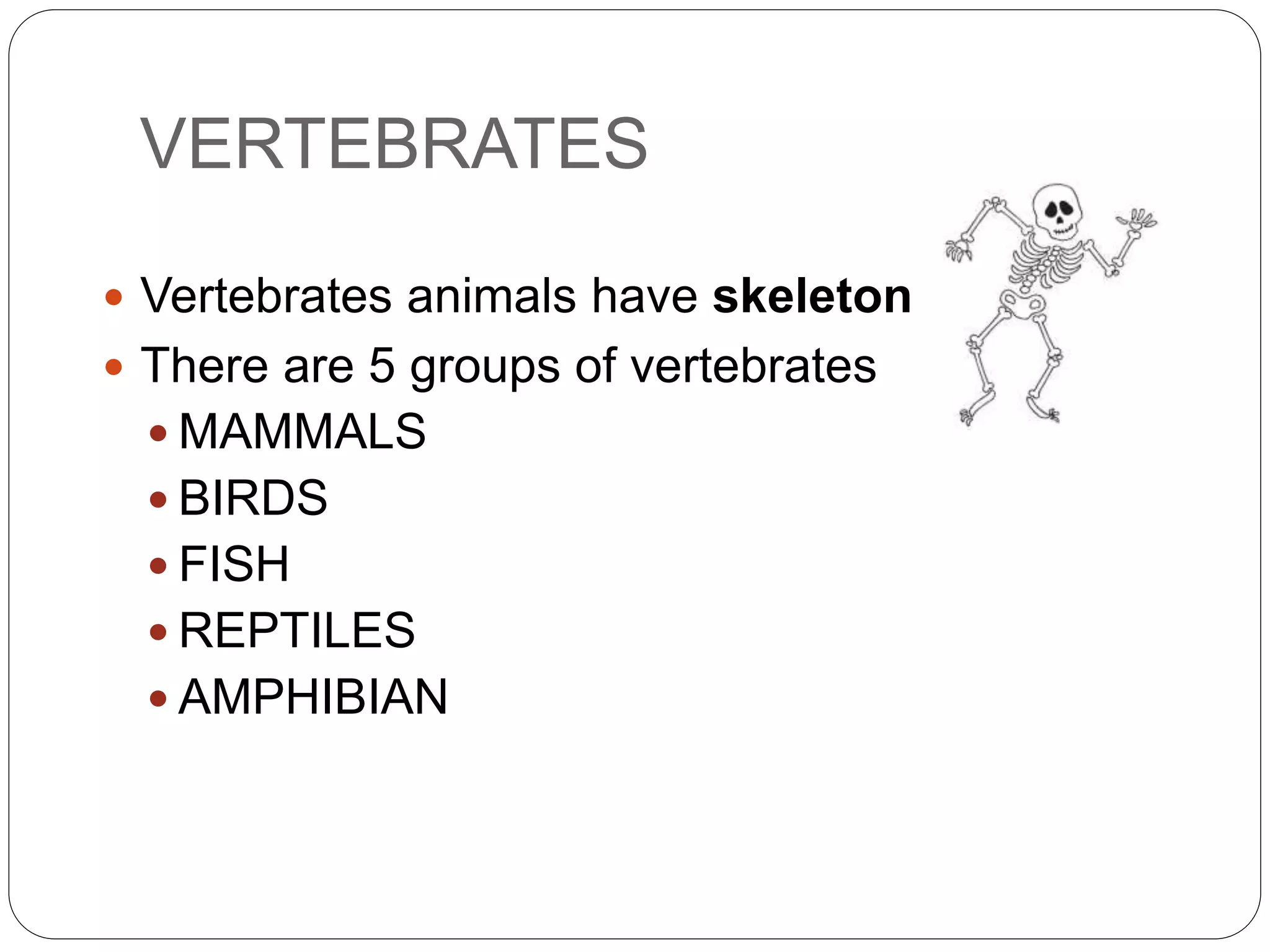 Vertebrates and invertebrates animals | PPTX | Reptiles | Pets