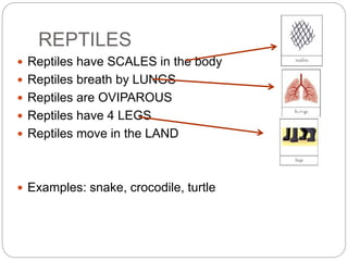 Vertebrates and invertebrates animals | PPTX