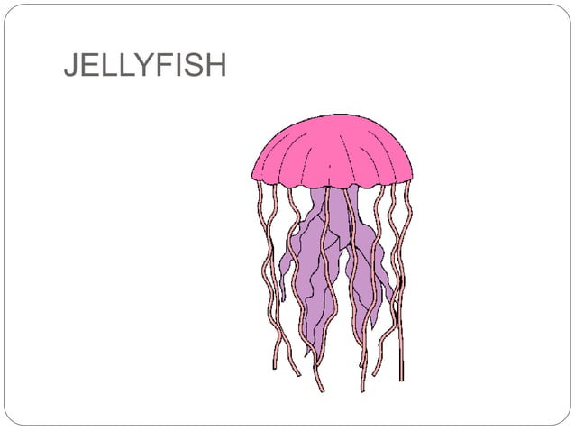 Vertebrates and invertebrates animals | PPTX | Reptiles | Pets