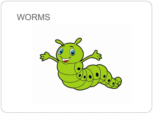 Vertebrates and invertebrates animals | PPTX | Reptiles | Pets