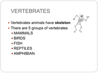 Vertebrates and invertebrates animals | PPTX