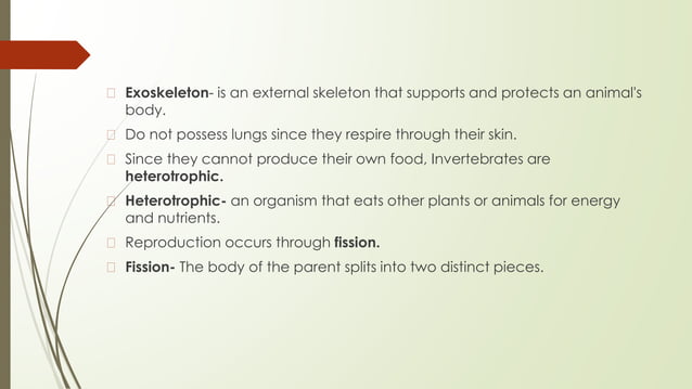 VERTEBRATES AND INVERTEBRATES ANIMALS G6.pptx