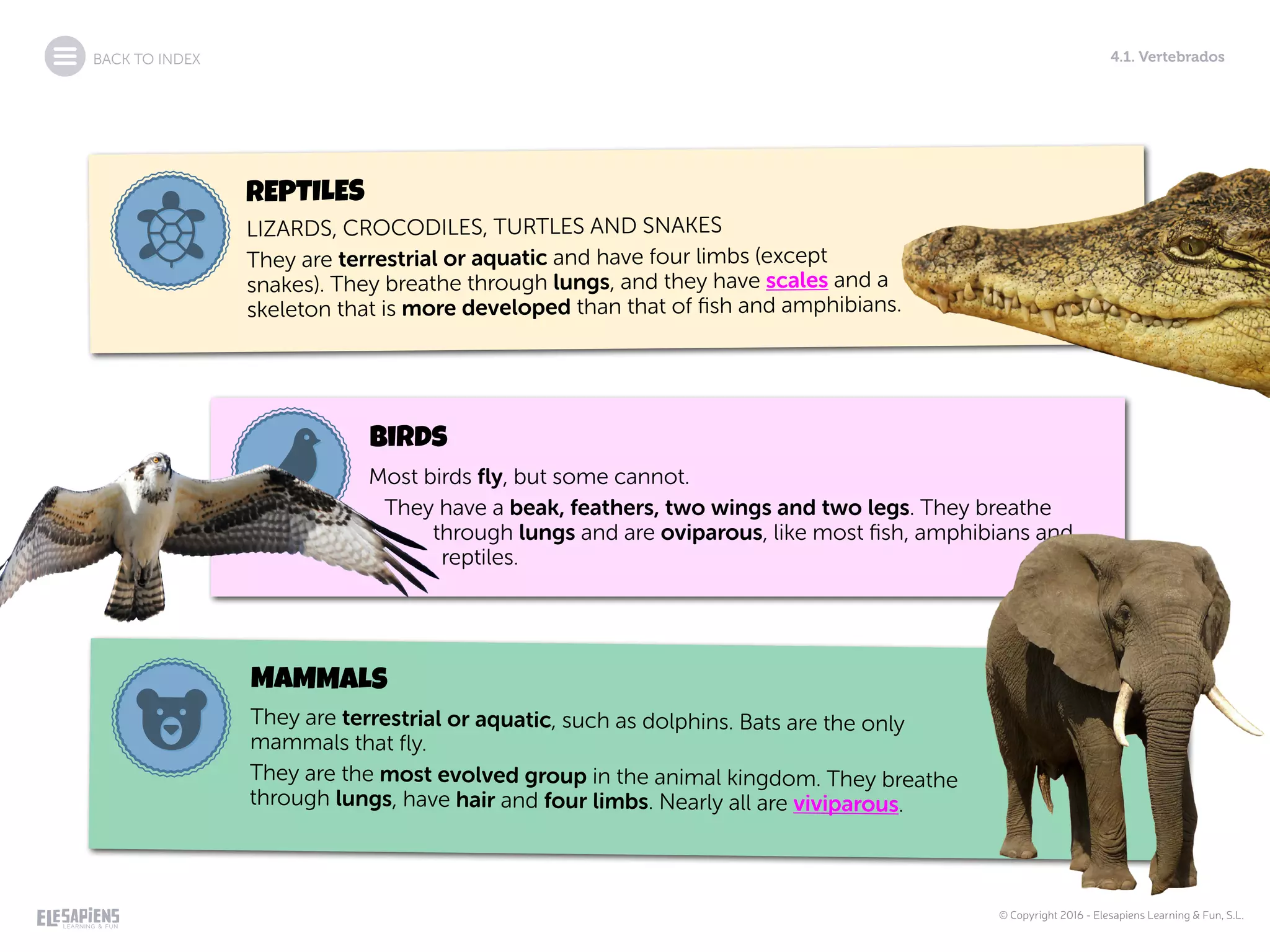 vertebrates and invertebrates information.pdf