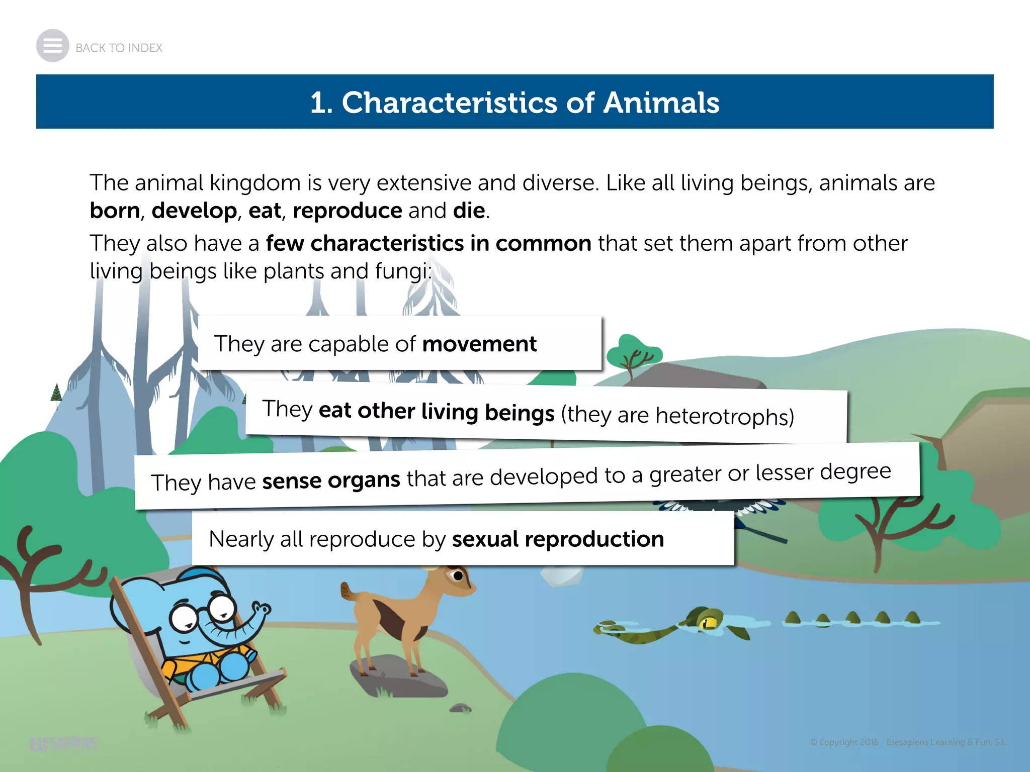 vertebrates and invertebrates information.pdf