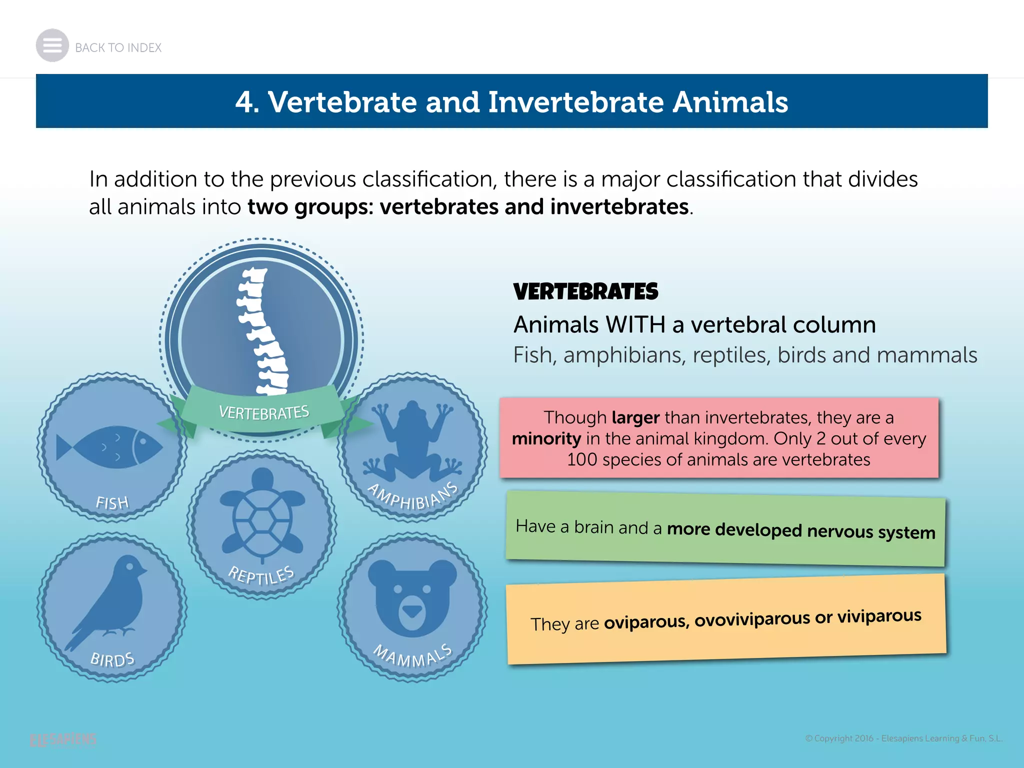 vertebrates and invertebrates information.pdf