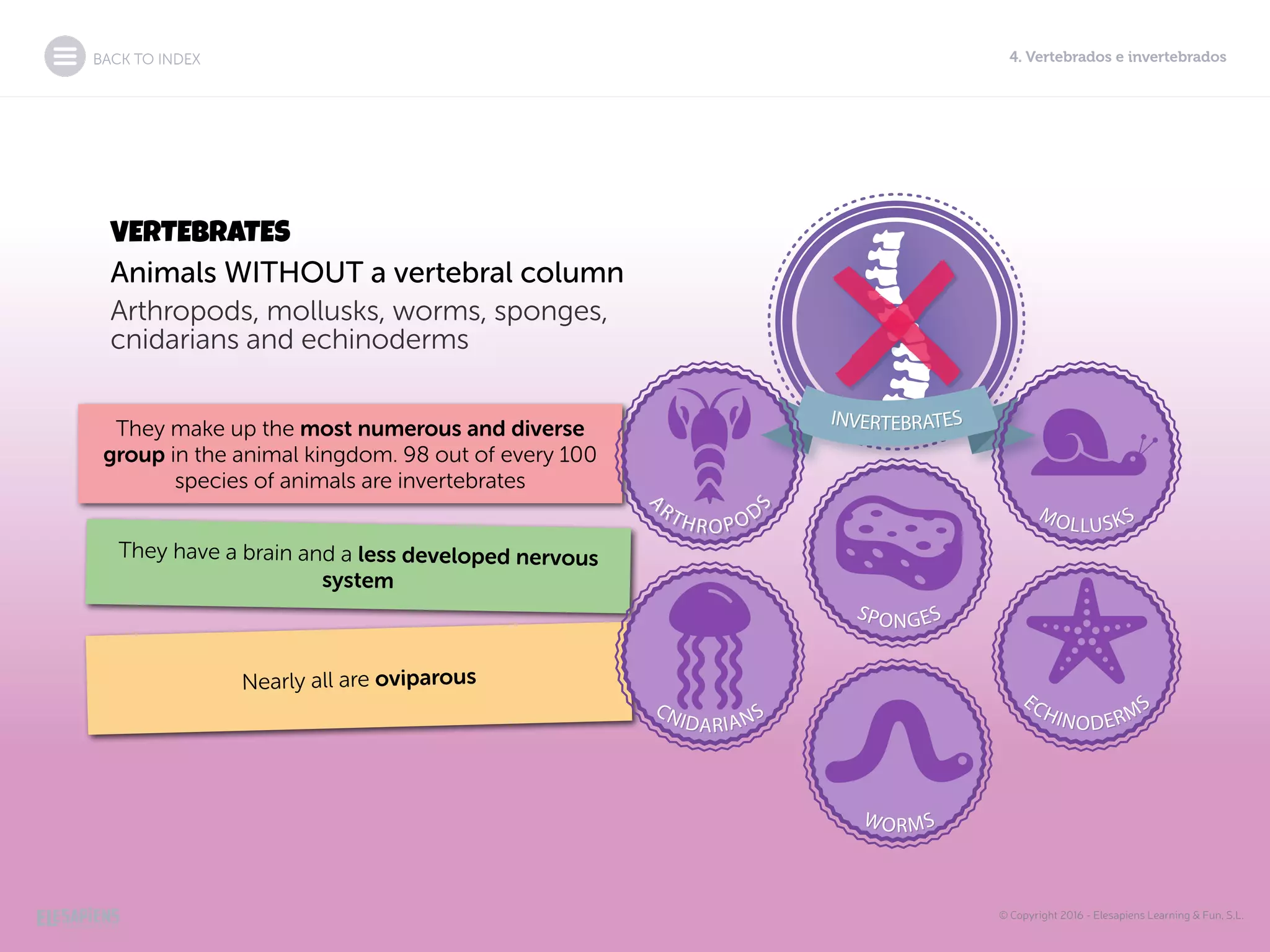 vertebrates and invertebrates information.pdf