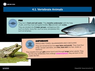 vertebrates and invertebrates information.pdf