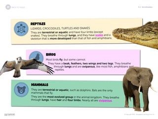 vertebrates and invertebrates information.pdf