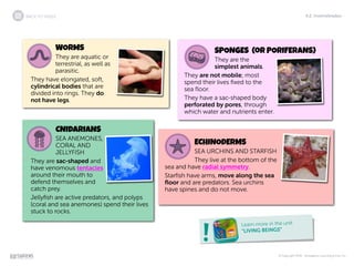 vertebrates and invertebrates information.pdf