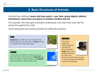vertebrates and invertebrates information.pdf