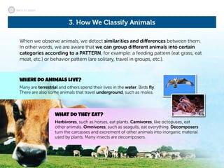 vertebrates and invertebrates information.pdf