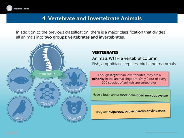 vertebrates and invertebrates information.pdf