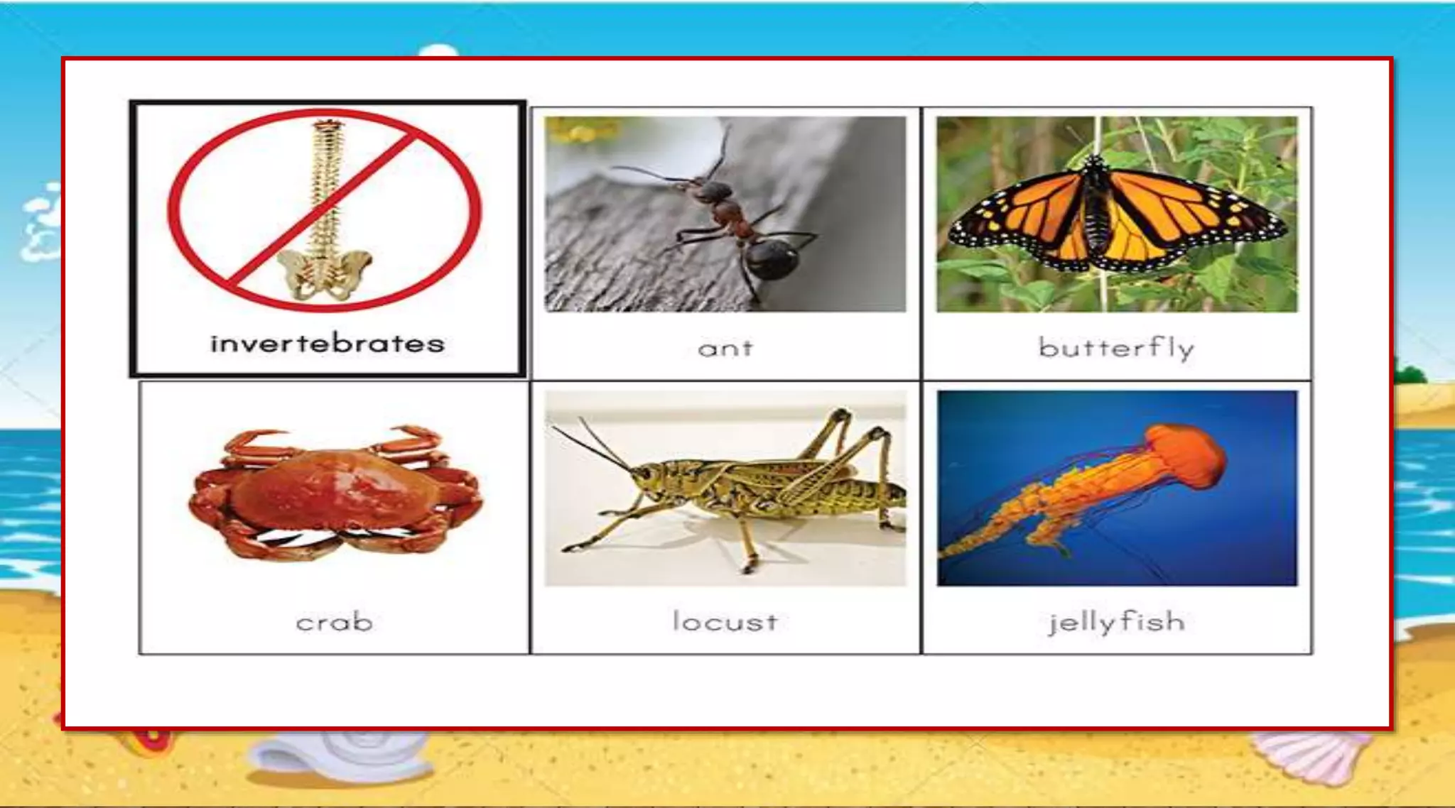 Vertebrates and Invertebrates with Interactive.pptx